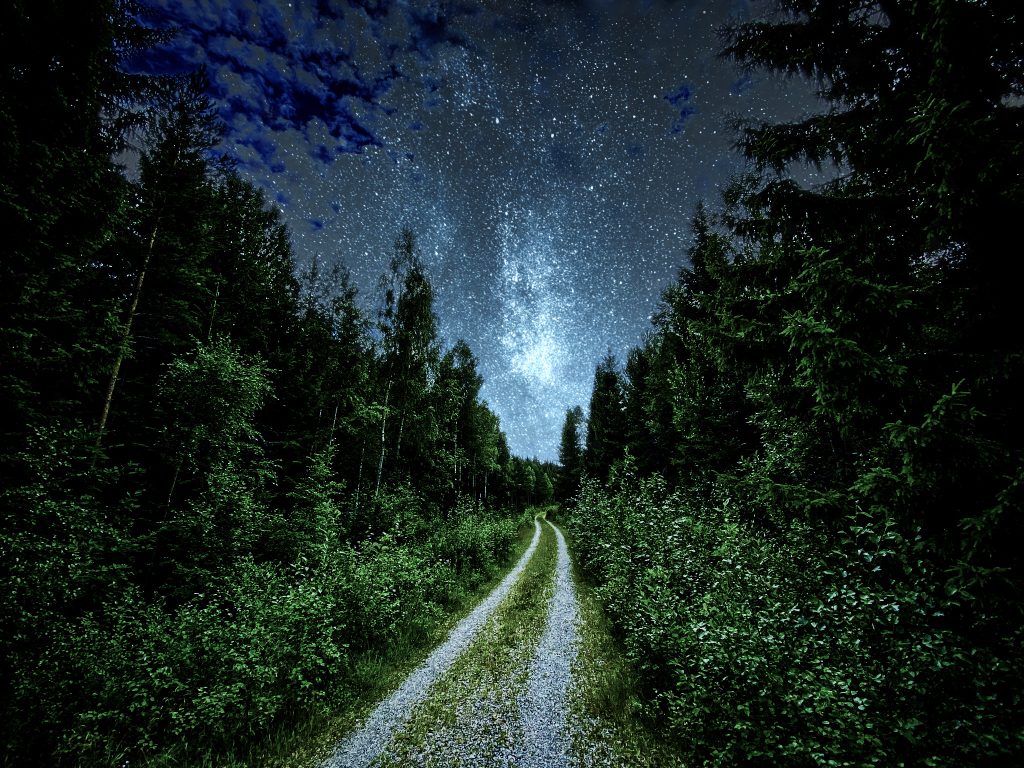 Fake Road – JENS THELANDER